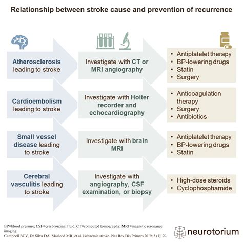 Relationship Between Stroke Cause And Prevention Of Recurrence Neurotorium