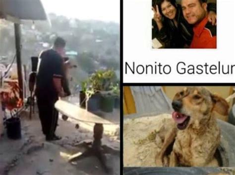 En México Las Sanciones Por Maltrato Animal Son Mínimas Imagen Radio
