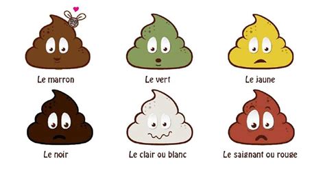 Ce Quil Faut Savoir Si Jamais Votre Caca Est Vert Pour Votre Santé