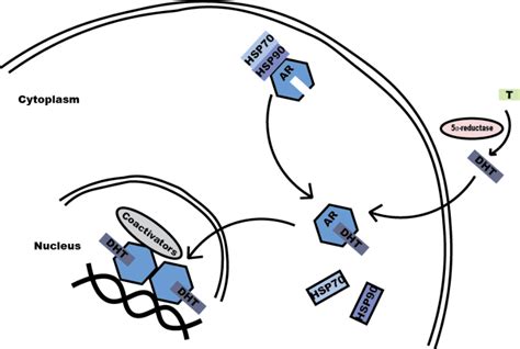 Figure 1 From Harnessing Urinary Extracellular Vesicles Microrna By