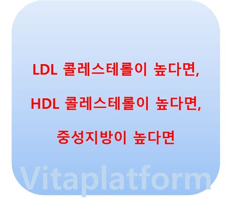 건강기초 중성지방과 Ldl콜에스테롤과 Hdl 콜레스테롤에 대한 이해와 관리