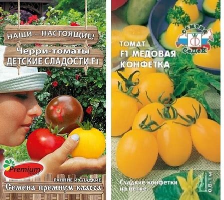 Конфетки на ветке: сорта томатов черри для открытого грунта Сибири ...