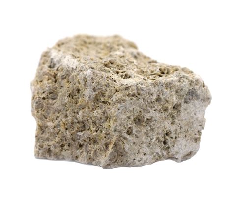 6pk Raw Fossiliferous Limestone Sedimentary Rock Specimens ± 1