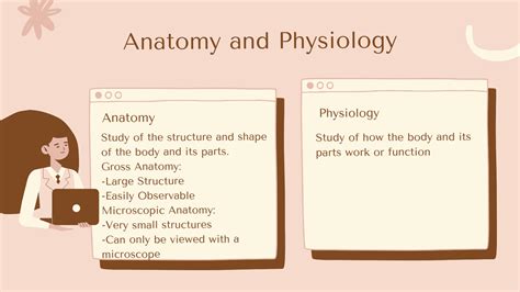 Solution Introduction Of Skeletal System Studypool