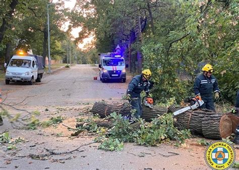 В Киеве из за непогоды погиб мужчина