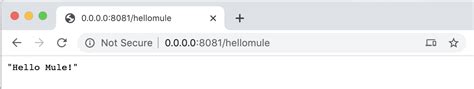 Tutorial Create A Hello World Mule App Mulesoft Documentation