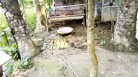 প্রবাসী ভাইয়ের দেশে ফিরে ডিমের জন্য ফাওমি মুরগি পালন Youtube