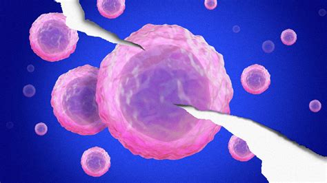 Immune System Animation