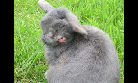 Saggy Old Woman Anonymous