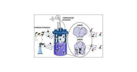 Direct Methane Oxidation By Copper And Iron Dependent Methane Monooxygenases Chemical Reviews