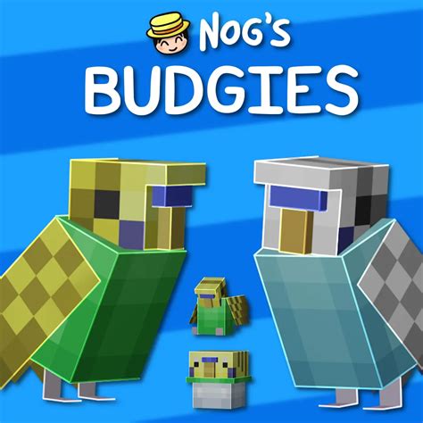 Nogs Budgies Mcmodels