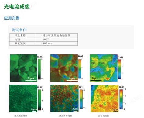 多功能激光扫描共聚焦荧光成像系统flim300 大连创锐光谱科技有限公司