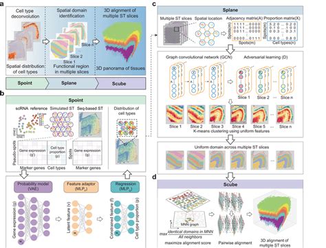 Workflow Of Spacel A Three Modules Of Spacel Spoint Splane And Download Scientific Diagram