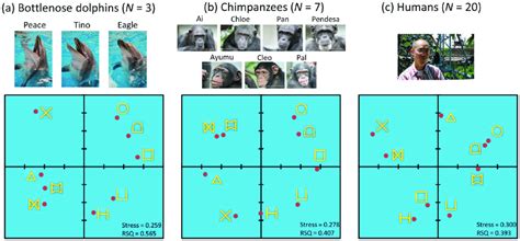 Two Dimensional Solutions Of Multidimensional Scaling Analyses Each