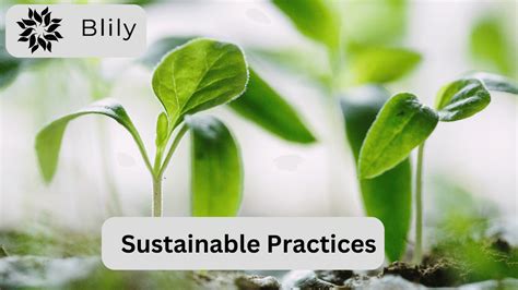 Sustainable Practices Making A Difference Step At A Time