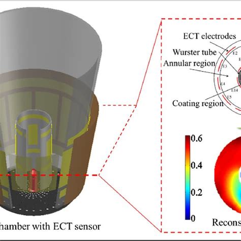 The 12 4 8 Ect Sensor And Reconstructed Image Download Scientific Diagram