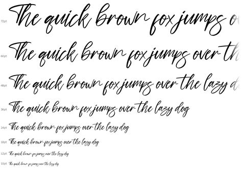 Hand Script Font By Perspectype Studio Fontriver