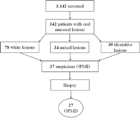 Oral Mucosal Lesions And Oral Potentially Malignant Disorders Opmds