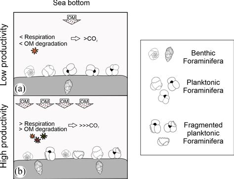 Schematic Representation Of The Two Possible Settings Affecting Download Scientific Diagram