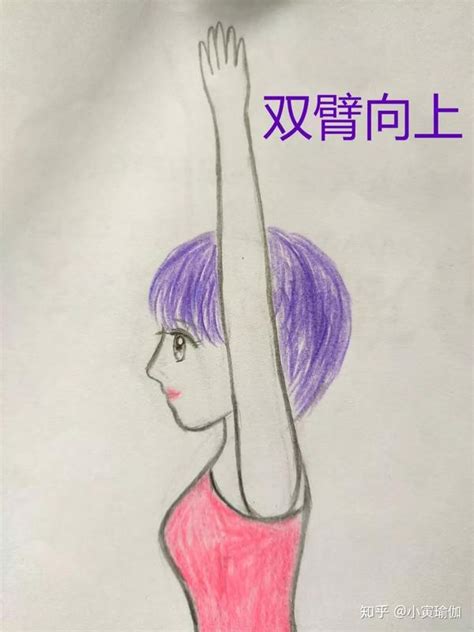 瑜伽英文学习，拜日式口令英文讲解 知乎