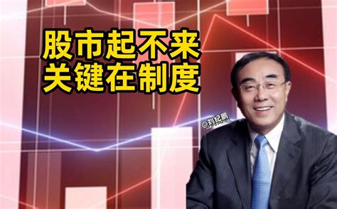 股市起不来关键在制度 刘纪鹏 刘纪鹏 哔哩哔哩视频