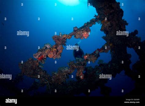 Divers On The Wreck Kyokuzan Maru Japanese Freighter Sunk In 1944