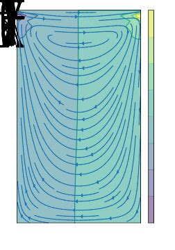 Computational Fluid Dynamics CFDPython