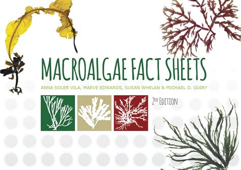 Macroalgae Species Macroalgae Initium