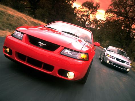 2003 Ford Mustang Cobra Terminator Wallpapers Wallpaper Cave