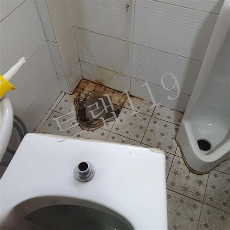 구로화장실냄새 변기 하수구냄새 싱크대 욕조 배수구 악취 트랩 벌레 차단 네이버 블로그