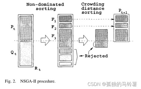 多目标进化算法NSGA IIpython实现 张士玉小黑屋
