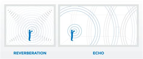 How Is A Reverberation Different From An Echo Actuate Minds