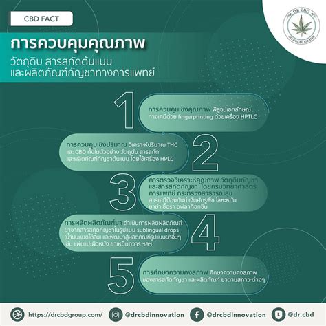 Cannabis Oil Machine Revolutionizing Thc Extraction Gsllithiumbattery