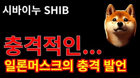 시바이누 코인 충격적인 일론머스크의 발언 이게 지금 난리네요 Youtube
