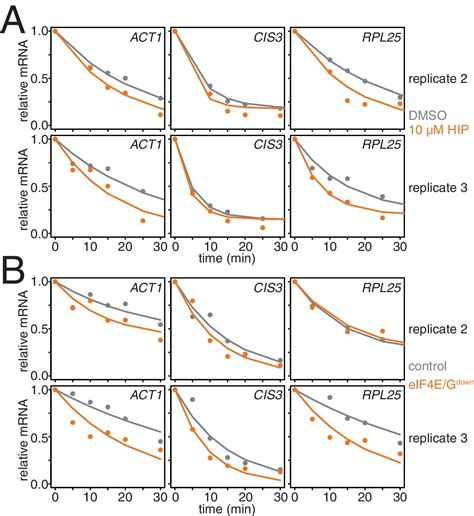 Figures And Data In Non Invasive Measurement Of Mrna Decay Reveals