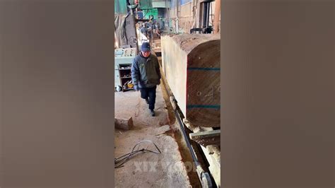 Cutting Wood Youtube