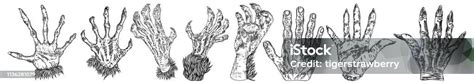 조각 몬스터 손 세트 좀비 늑대 인간 드래곤 또는 뱀파이어 팜 손 긴 손톱 공격 제스처에 벡터 무서움에 대한 스톡 벡터 아트 및 기타 이미지 Istock