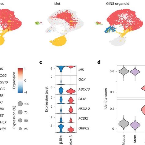 Immunostaining Showed Activation Of Focal Adhesion Kinase Measured