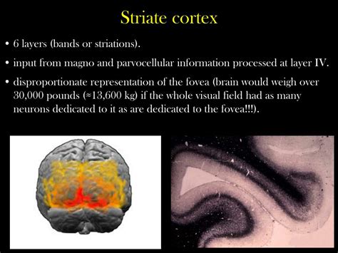 Ppt Vision Powerpoint Presentation Free Download Id 6029744