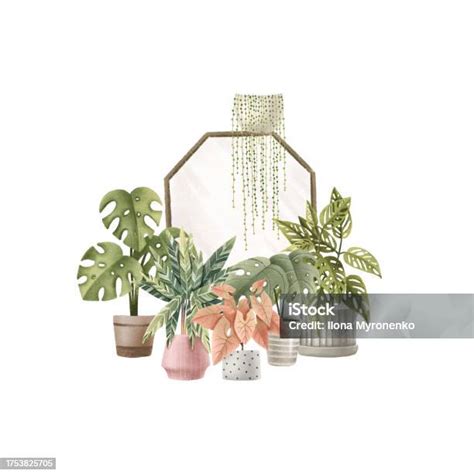 거울의 배경에 대한 내부의 집 식물 Monstera Deliciosa Calathea Monstera 원숭이 핑크 Syngonium 및 다육 식물 귀여운 그림 손으로 그린