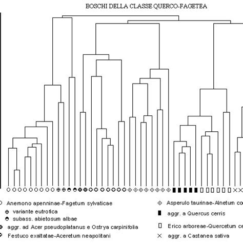 Dendrogramma Di Classificazione Delle Formazioni Forestali Della Classe