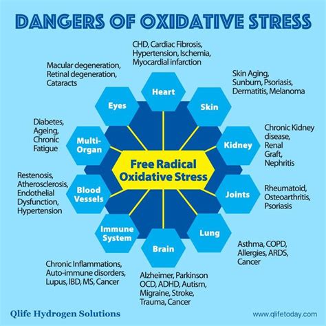 Quality Molecular Hydrogen Products For Your Health Qlife Hydrogen