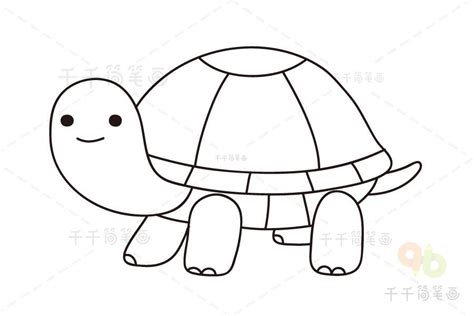 乌龟保护自己简笔画 简笔画图片大全 普车都