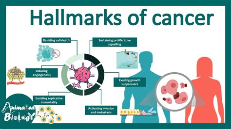 Cancer Tumor Animated