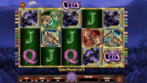 Cats Free Play In Demo Mode And Review🐵 Discover The Thrill Of Gaming