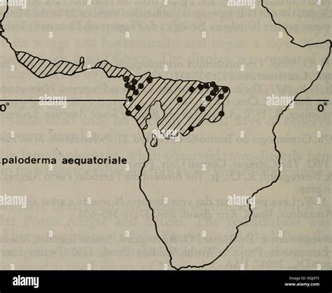 Map Hand Out Middle Passage