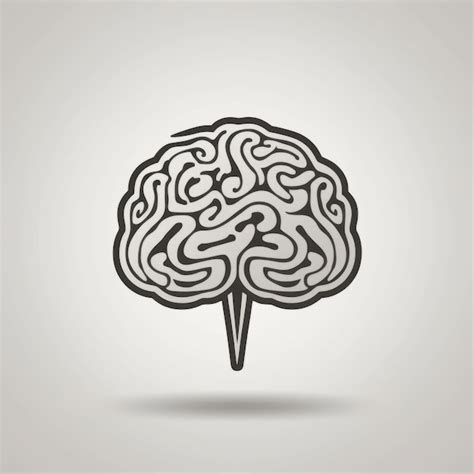 Icono De Vista Frontal Del Cerebro Humano Aislado Sobre Fondo Blanco