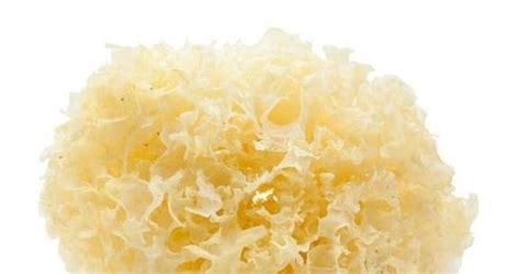生理期还在喝红糖水多吃这些食物帮助清宫排毒远离妇科病 搜狐大视野 搜狐新闻