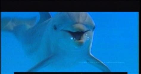 Q채널 자체 제작 과학 다큐 과학이 보인다 2일 첫방송