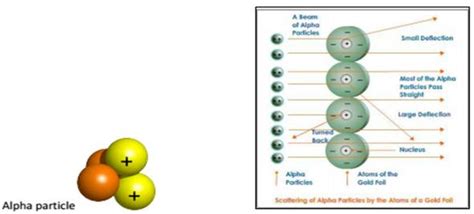 Structure Of The Atoms Class 9 Notes Science Mycbseguide